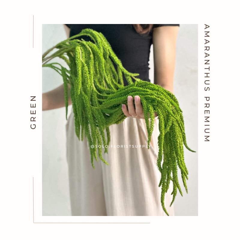 Jual bunga gantung hias amaranthus artificial BUNGA AMARANTHUS PREMIUM ...