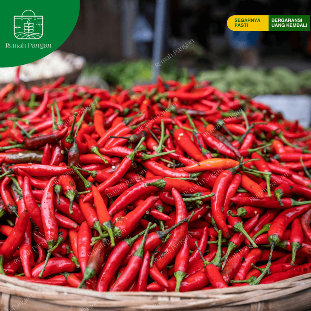 Jual Cabai / Cabe Merah Besar - 500 gram | Shopee Indonesia