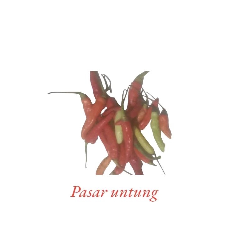 Jual CABE CAPLAK CABE SETAN CABE RAWIT CAPLAK/RAWIT MERAH 100g ( 1ons ...
