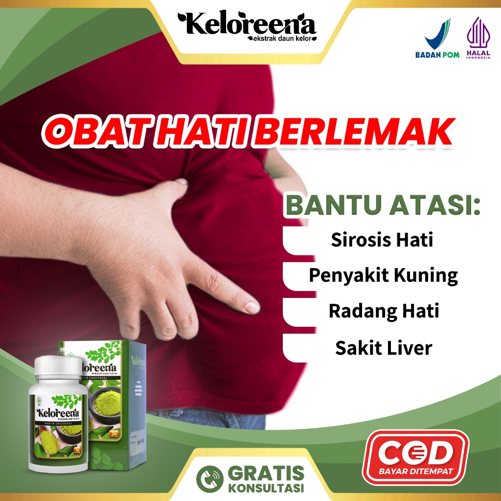 Jual Obat Fatty Liver, Obat Hati Berlemak / Perlemakan Hati, Obat ...