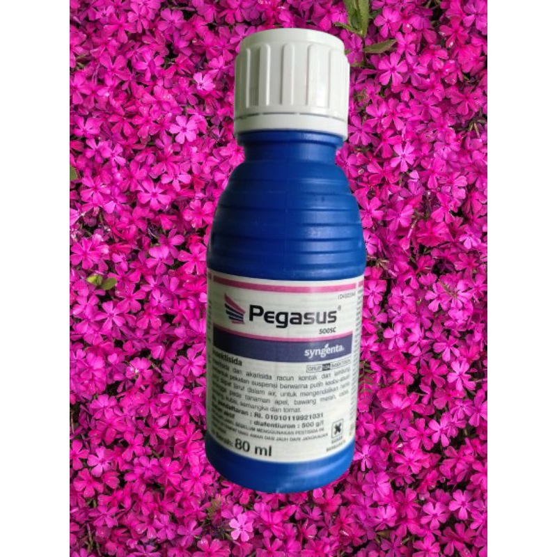 Jual INSEKTISIDA PEGASUS 500SC 80ml | Shopee Indonesia