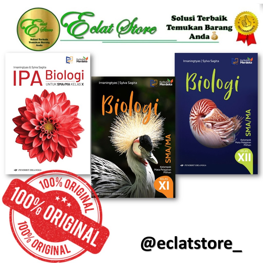 Jual ERLANGGA BUKU IPA BIOLOGI KELAS X 10 11 12 KURIKULUM MERDEKA | Shopee Indonesia