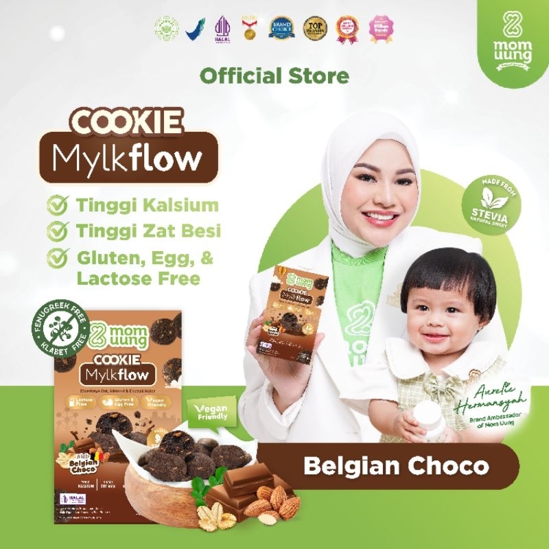 Jual Mom Uung Cookie Asi Booster Mylkflow Cookie 150 gr / Cookie Sehat ...