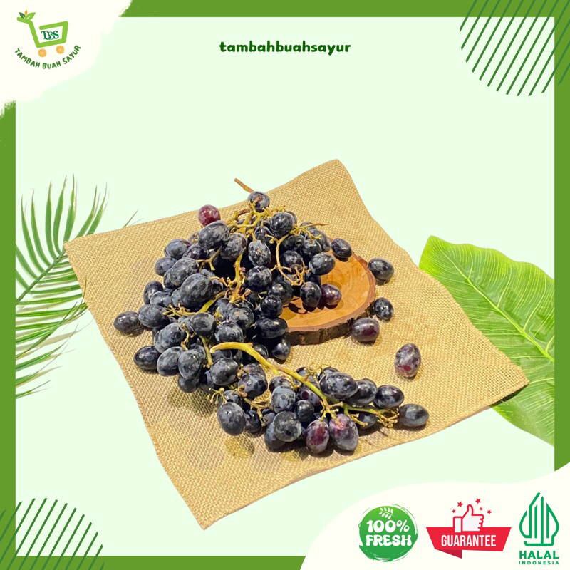 Jual ANGGUR AUTUMN PREMIUM (KHUSUS SAMEDAY DAN INSTAN) | Shopee Indonesia