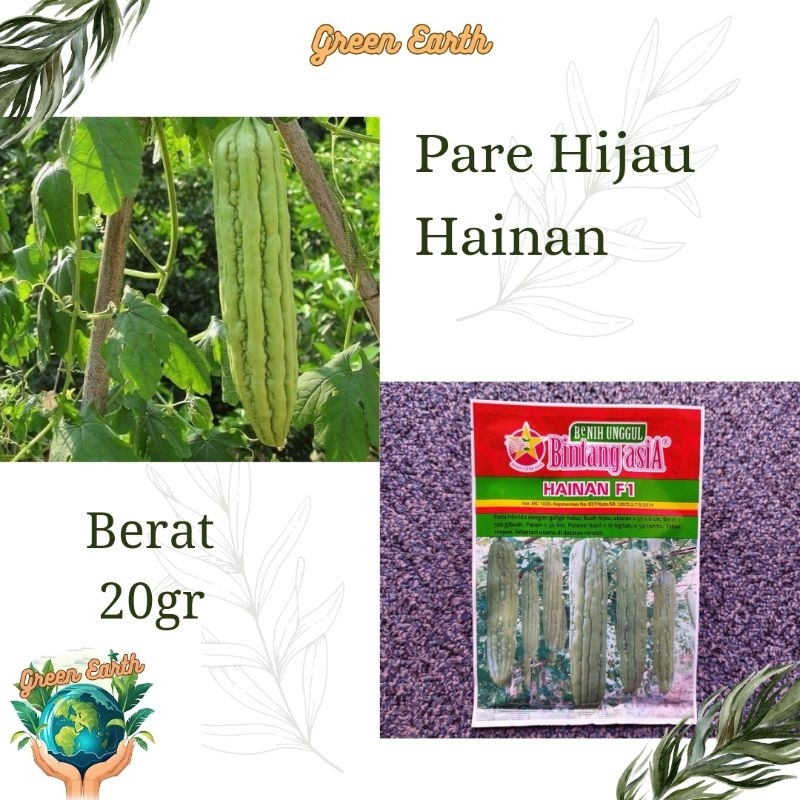 Jual Benih Pare Paria Hainan Isi 20gr Produk Bintang Asia | Shopee ...