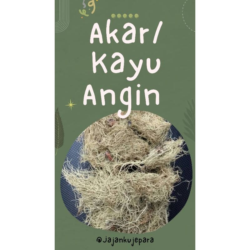 Jual Jamu Akar angin/ Rasukangin / kayu angin kering / jenggot resi ...
