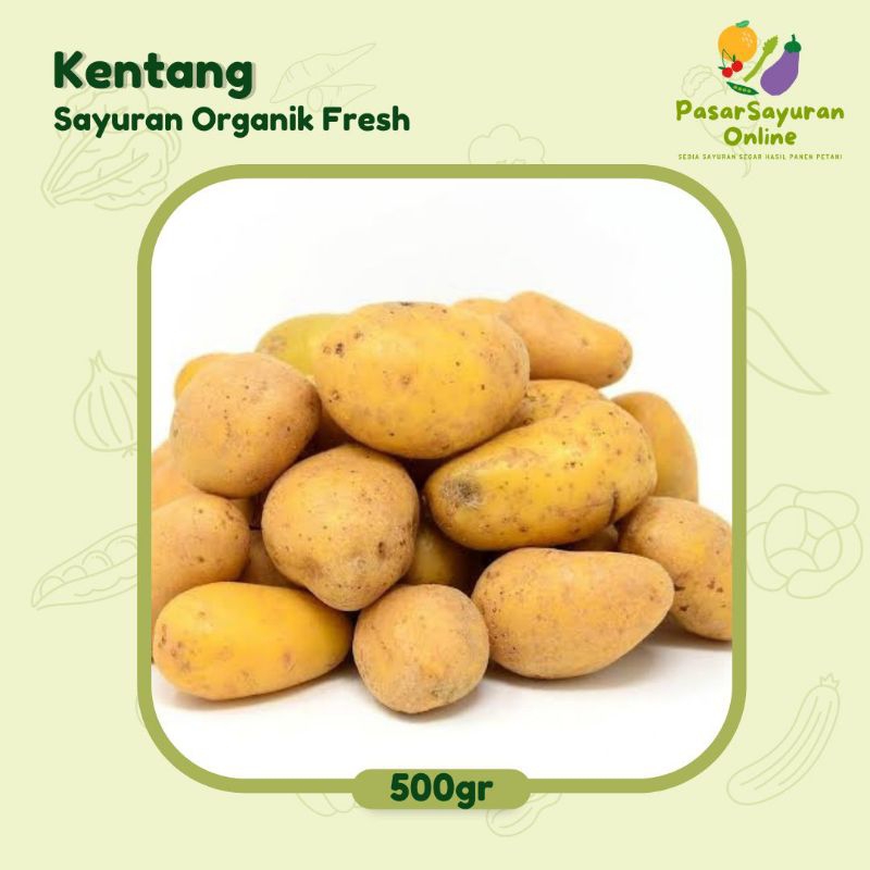 Jual Kentang 500gr gram Asli Murah Sayuran Fresh Segar Express Instan ...