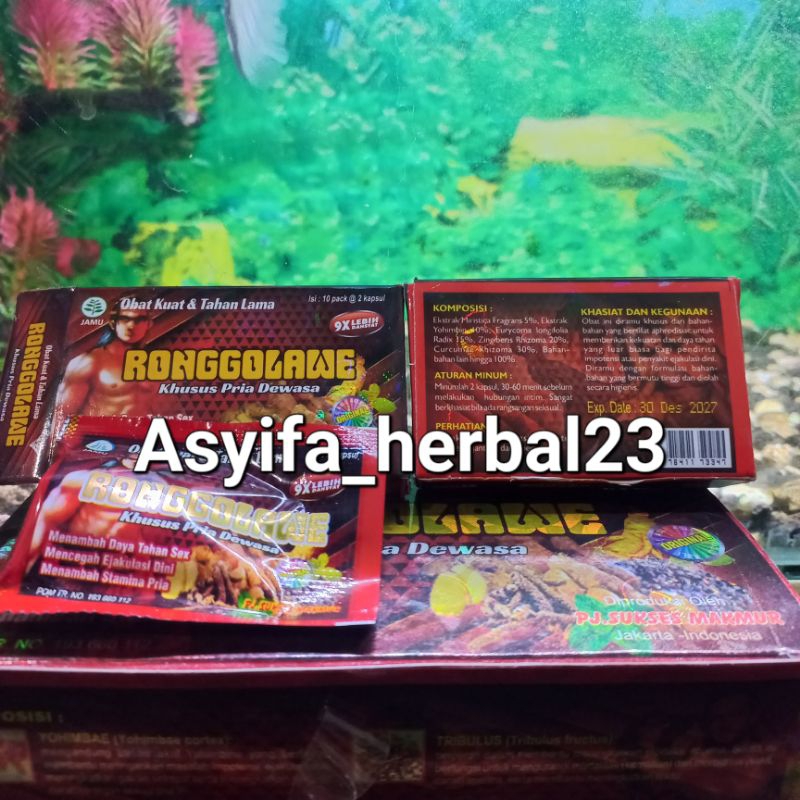 Jual Ronggolawe kapsul original | Shopee Indonesia