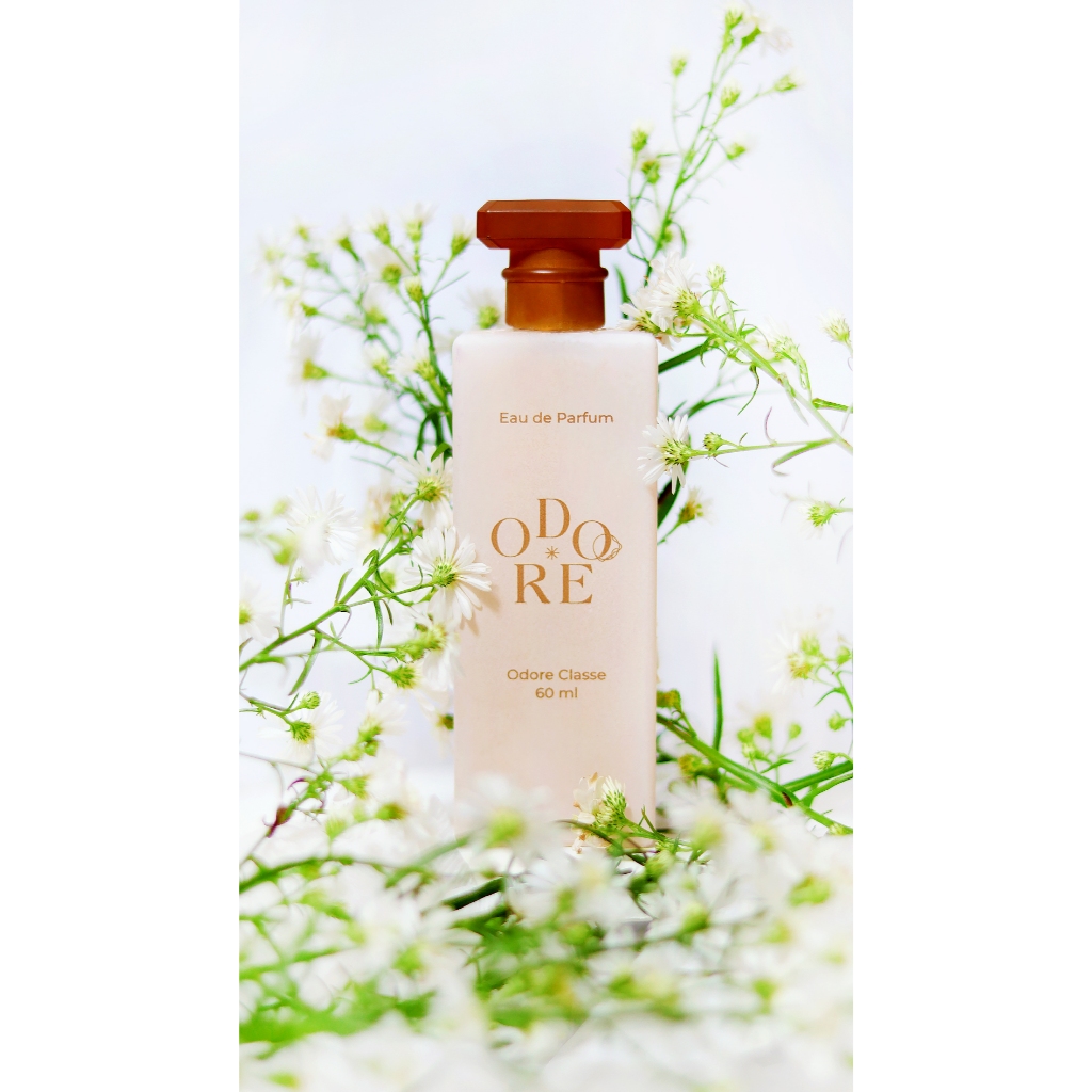 Jual ODORE FRAGRANCE | CLASSE | Parfum Wanita 50ml | Eau de Parfum ...
