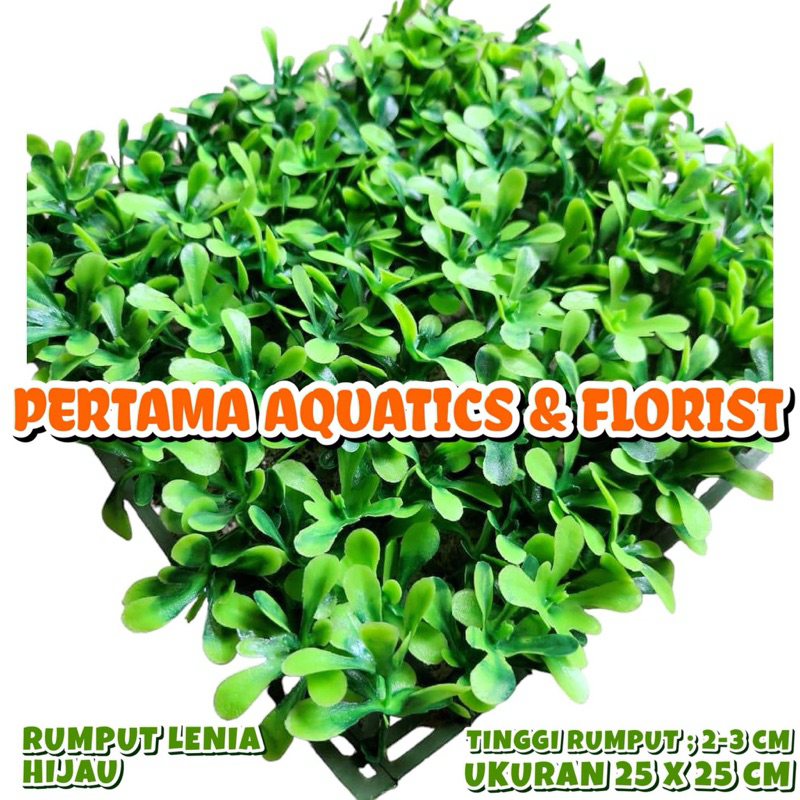 Jual Rumput Lenia-Taka Ukuran 25x25 Cm/ Rumput Dekorasi/ Tanaman ...