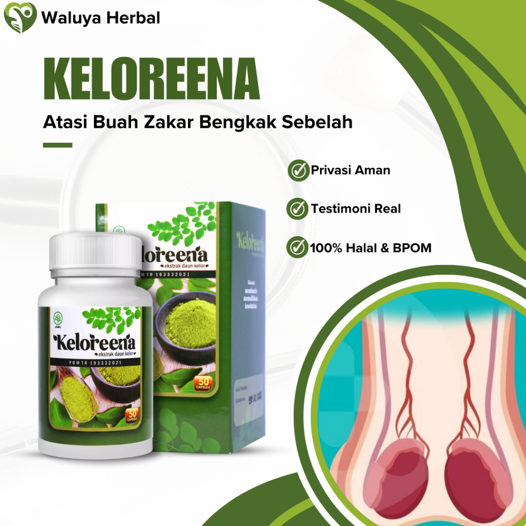 Jual Obat Benjolan di Penis Buah Zakar Bengkak Sebelah Varikokel ...