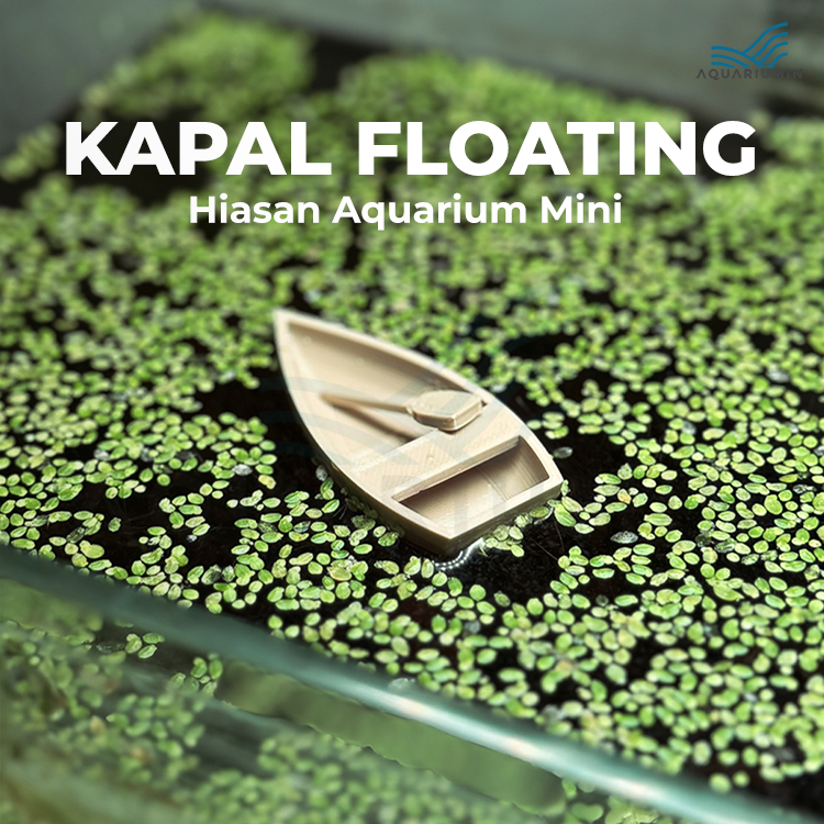 Jual Kapal Mini Floating Hiasan Aquarium / Dekorasi / Miniatur ...
