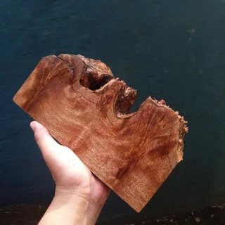 Jual Kayu Bayur Terlengkap & Harga Terbaru Maret 2026 | Shopee Indonesia