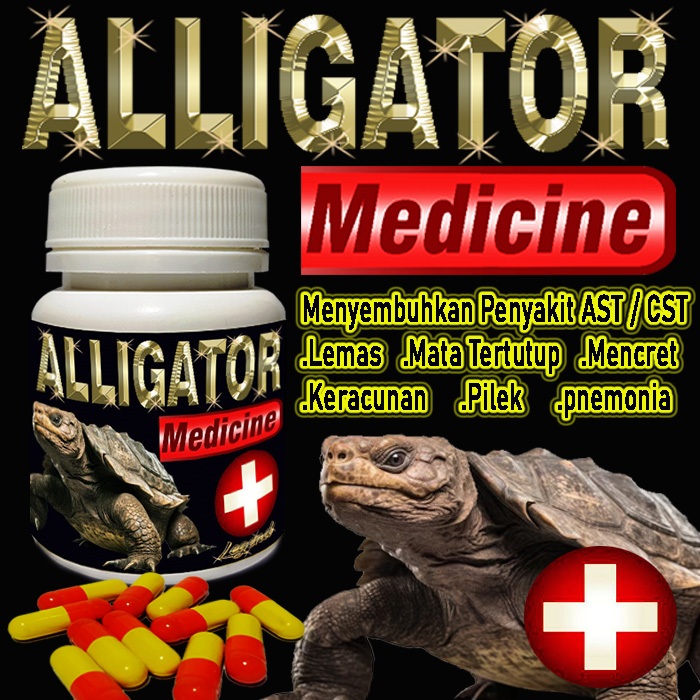 Jual ALLIGATOR MEDICINE OBAT KURA-KURA AIR AST CST LEMAS MATA TERTUTUP ...