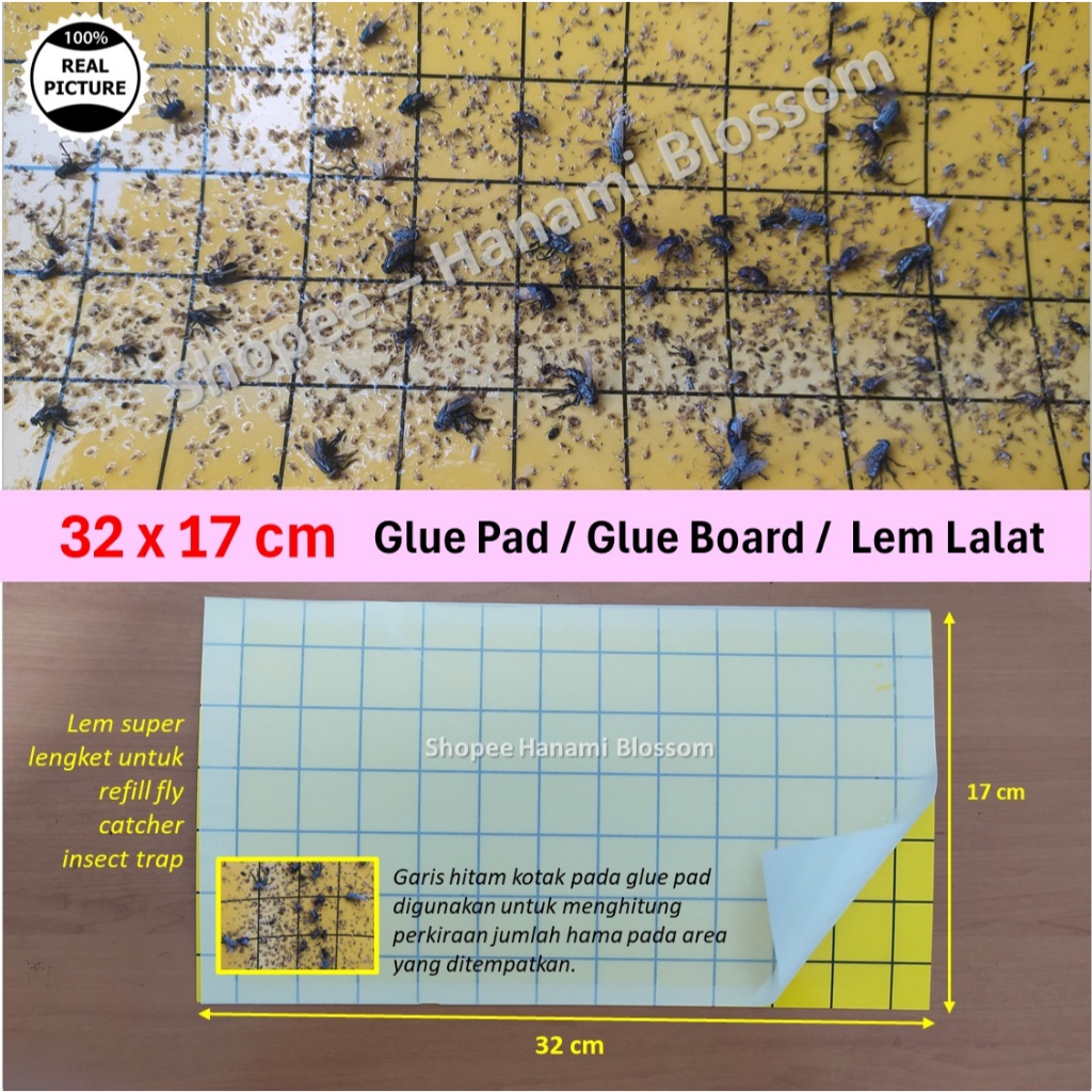 Jual Glue Pad Glue Board Lem Lalat 32x17 cm Tebal dan Lengket Refill ...
