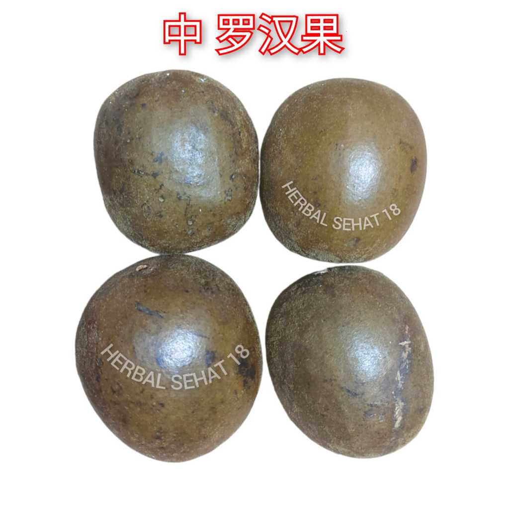 Jual 4 Biji / Buah Lo Han Ko Ukuran Sedang - Lohanko Lo Han Guo ...