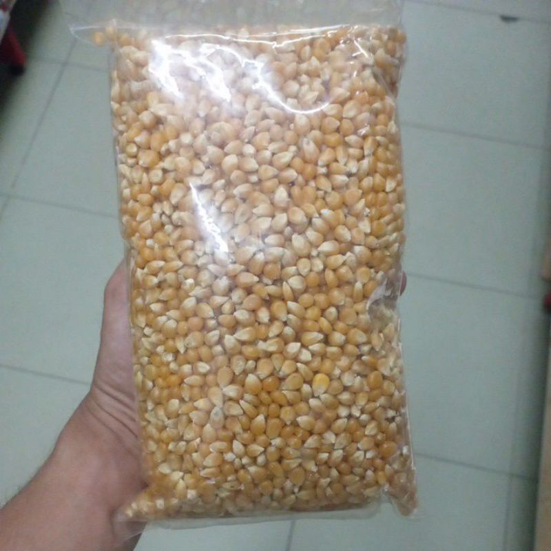 Jual Jagung popcorn 1kg | Shopee Indonesia