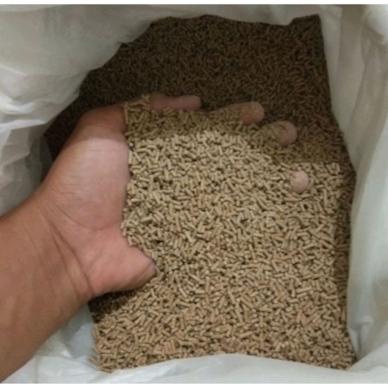 Jual Pelet Babi / Pelet Untuk Bom Ikan Saat Memancing 1 Kg | Shopee ...