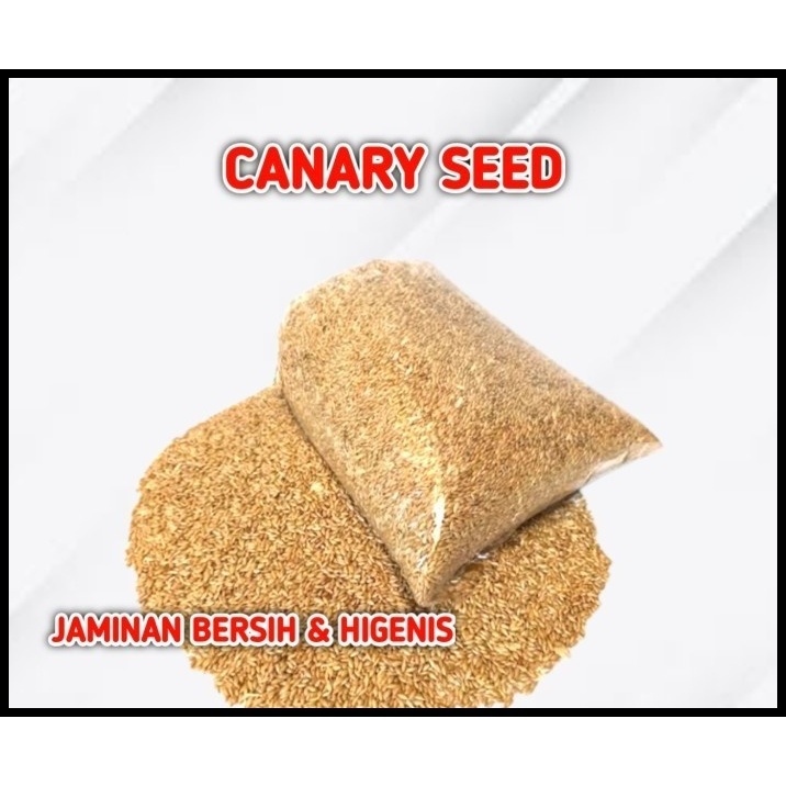 Jual Pakan biji Burung finch lovebird parkit KENARI canari CANARY bird ...