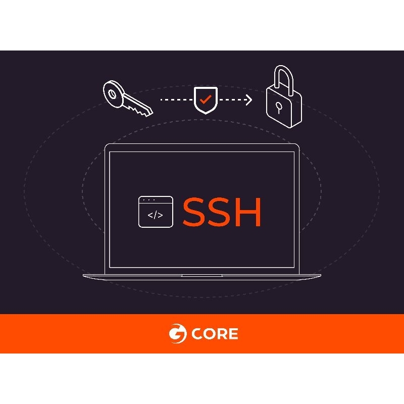 Jual SSH Premium 30 hari, Vmess, Vless, Trojan, dsb. | Shopee Indonesia