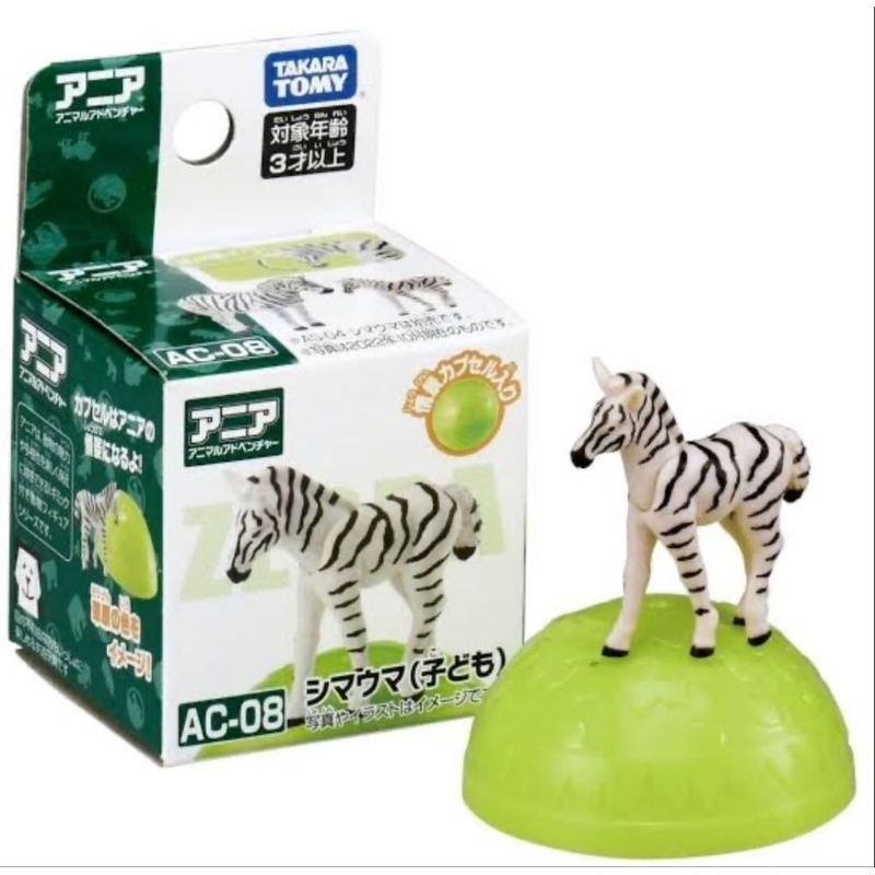 Jual Takara Tomy Ania AC-08 Zebra Baby Anak Zebra Animal Figure ...