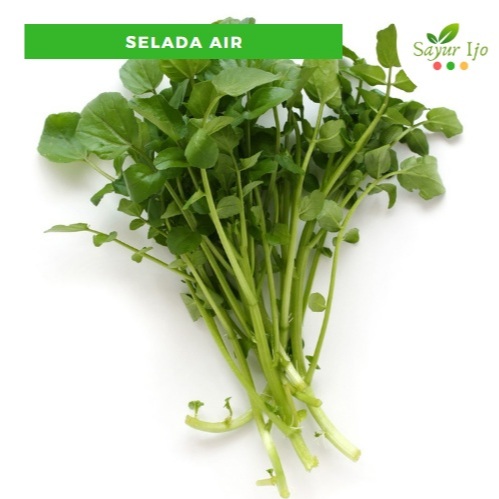 Jual Selada Air -/+ 450 - 500 Gram Per Ikat Fresh Watercress Sayur ...