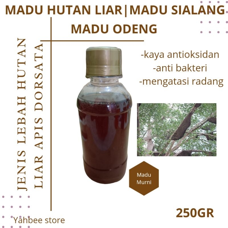 Jual MADU HUTAN LIAR APIS DORSATA 250GR | Shopee Indonesia