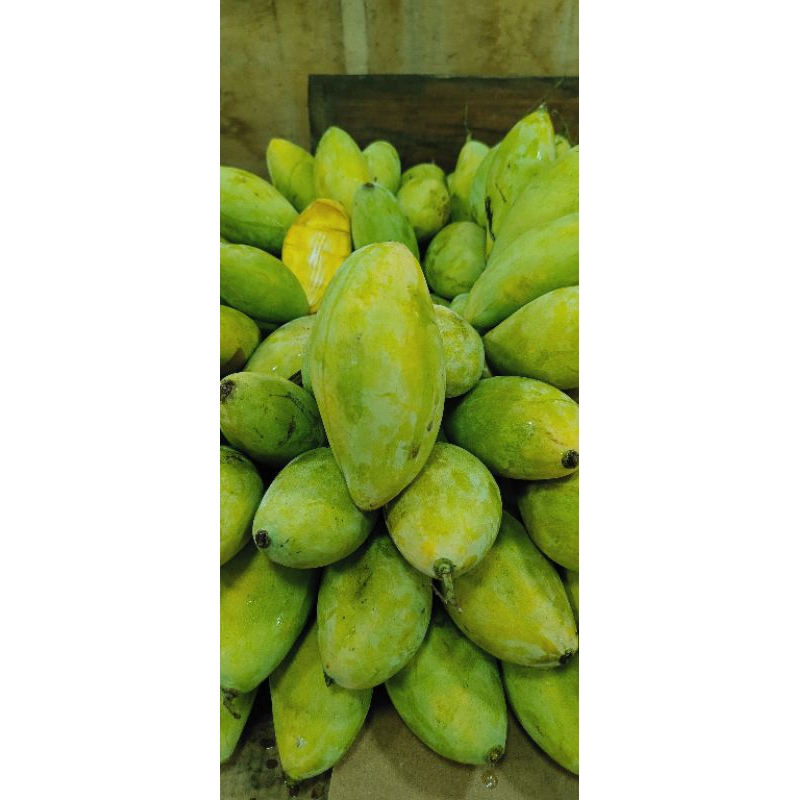 Jual mangga okyong/1kg | Shopee Indonesia