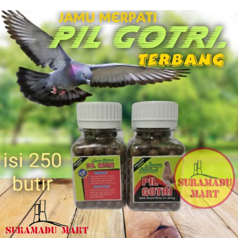 Jual Jamu Merpati Keket Giring Keras Pil Gotri Terbang 250 Butir Grosir ...