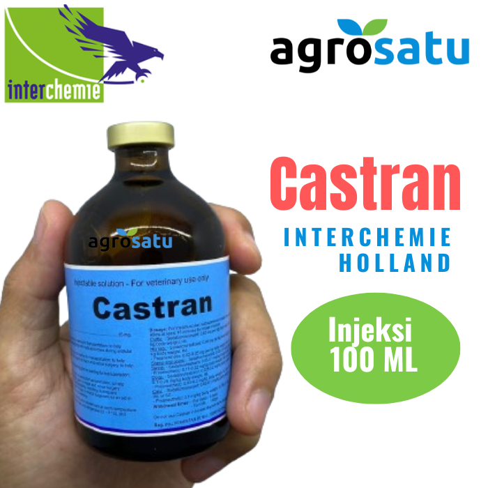 Jual Castran 100 ML Interchemie Holland | Shopee Indonesia