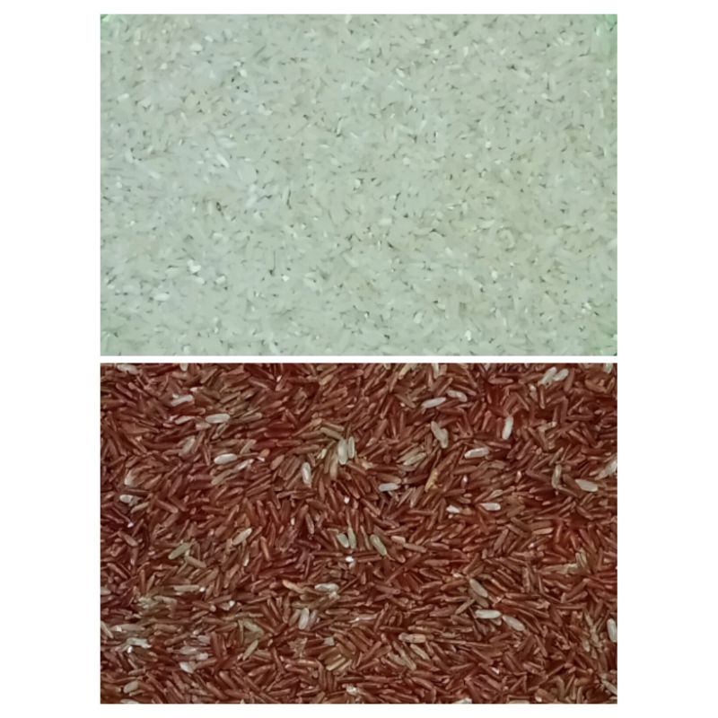 Jual Beras putih,beras merah,beras ketan | Shopee Indonesia