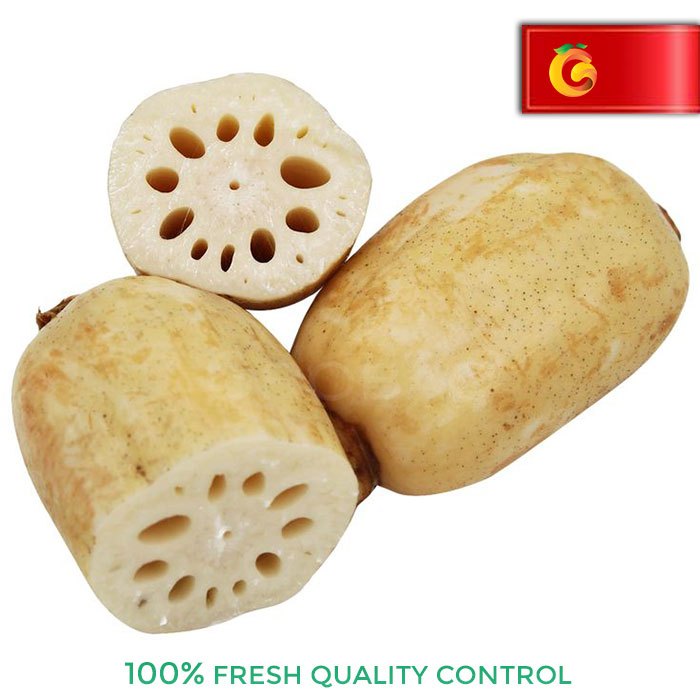 Jual Sayur Akar Teratai - Lotus / Pcs | Shopee Indonesia