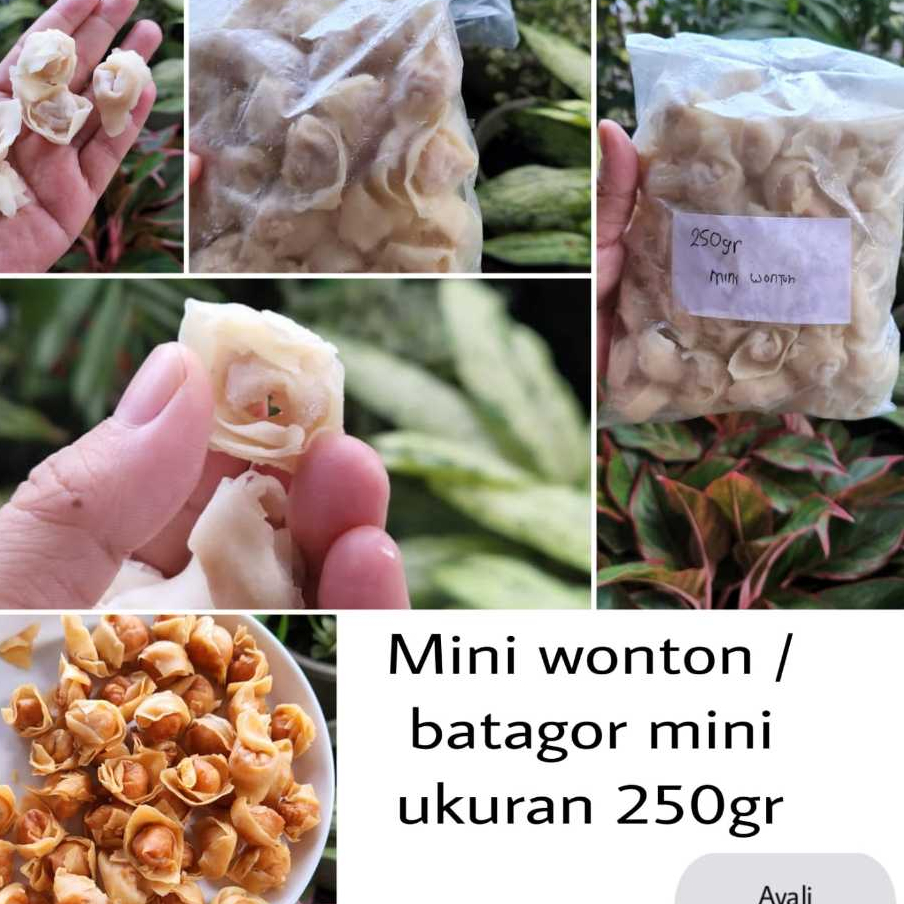 Jual mini wonton / wonton mini / pangsit mini | Shopee Indonesia