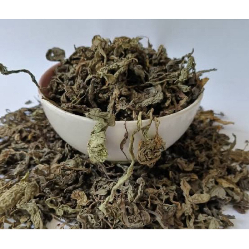 Jual Daun pecut kuda kering daun jarong kering 1 kg | Shopee Indonesia