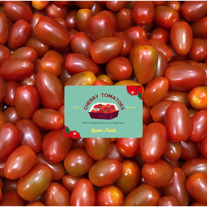 Jual Tomat Ceri Segar / Fresh Cherry Tomatoes ( 250 gr / 500 gr / 1kg ...