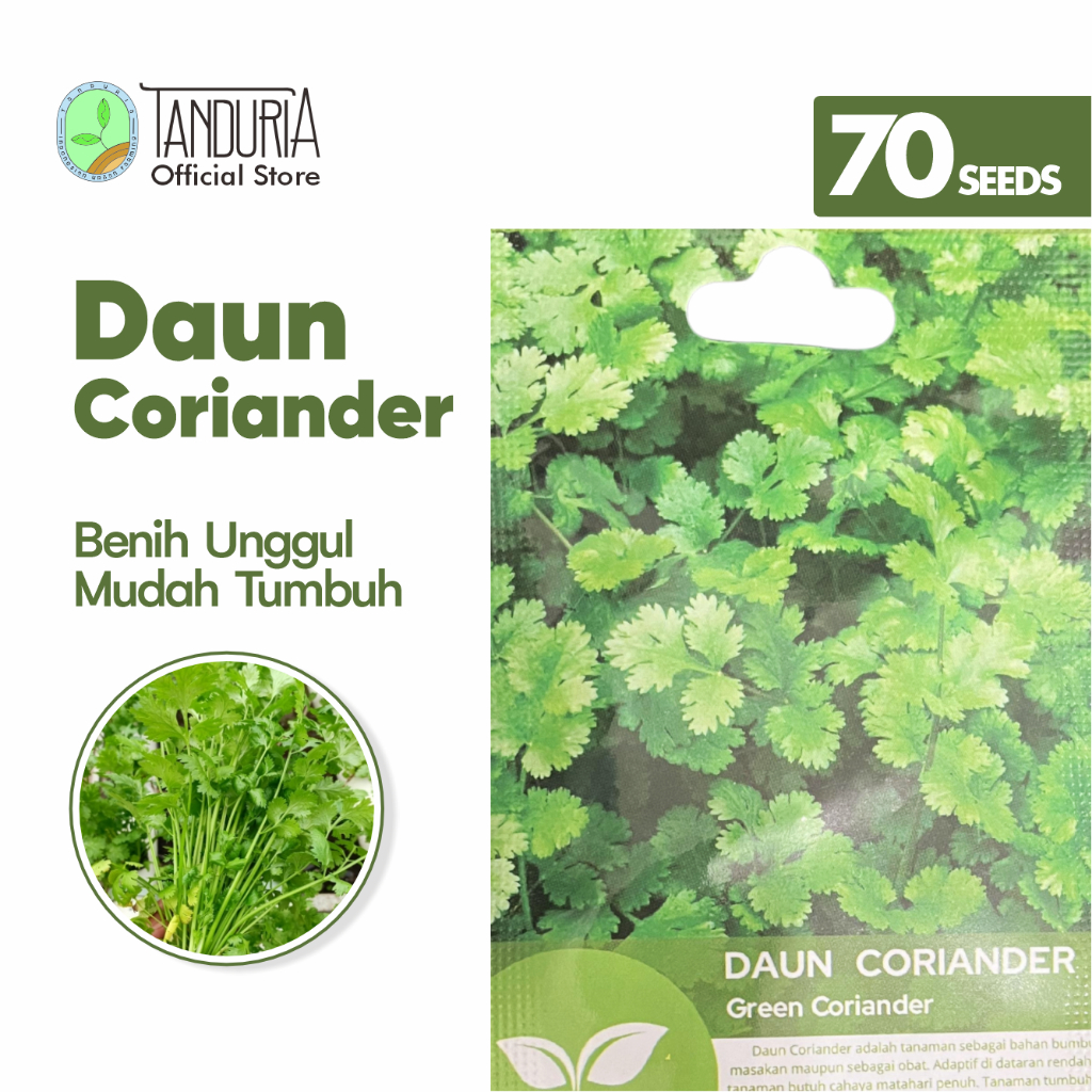 Jual TANDURIA - Benih Coriander by Mix Garden Seed Bibit Biji Bunga ...