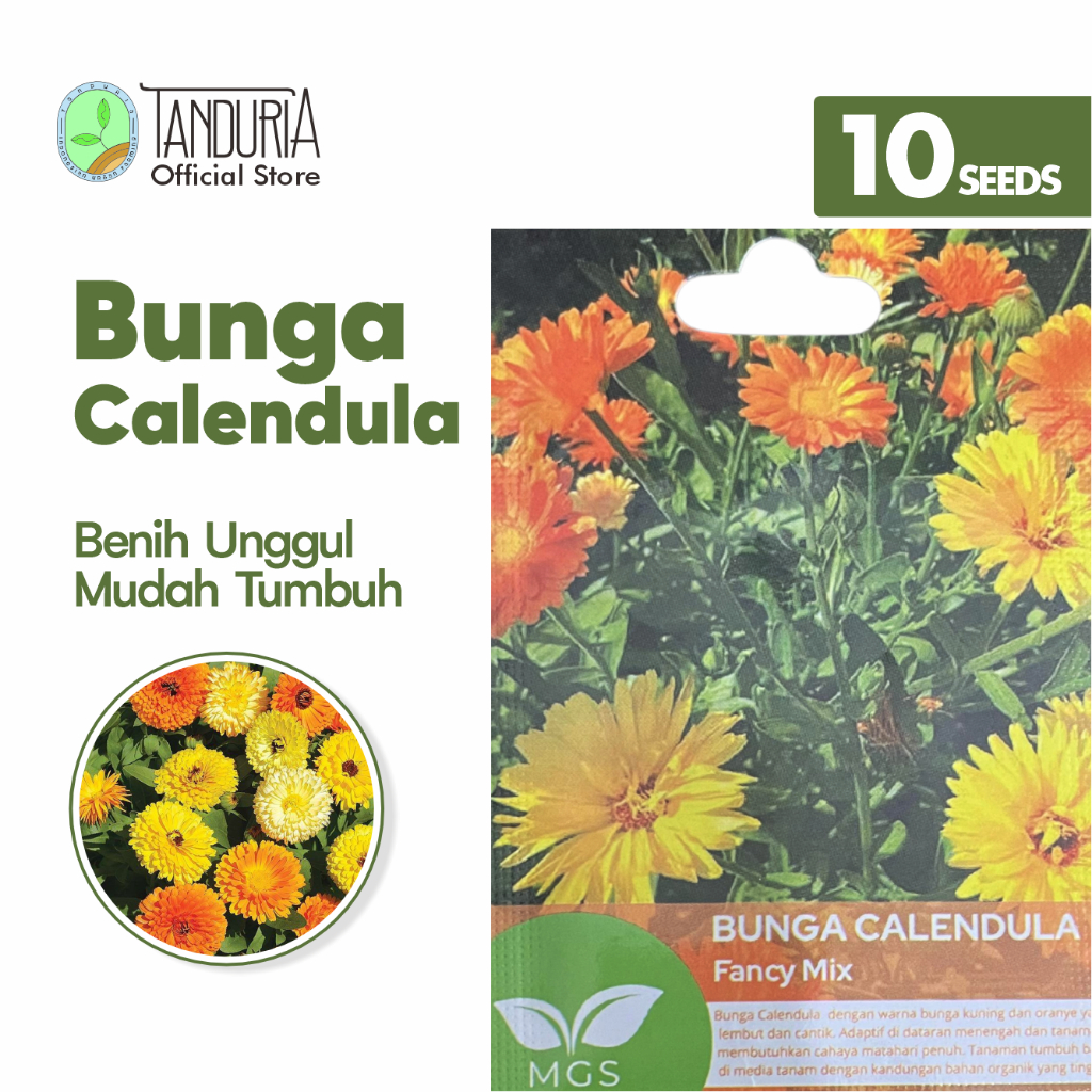 Jual TANDURIA - Benih Bunga Calendula by Mix Garden Seed Bibit Biji ...