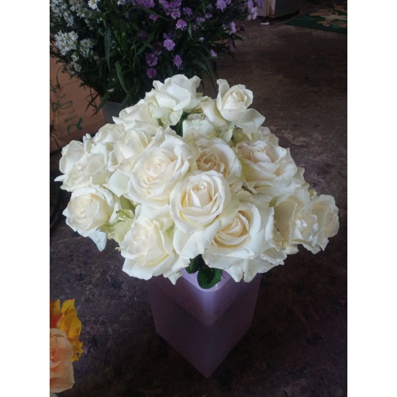 Jual mawar segar bunga potong per tangkai mawar putih | Shopee Indonesia