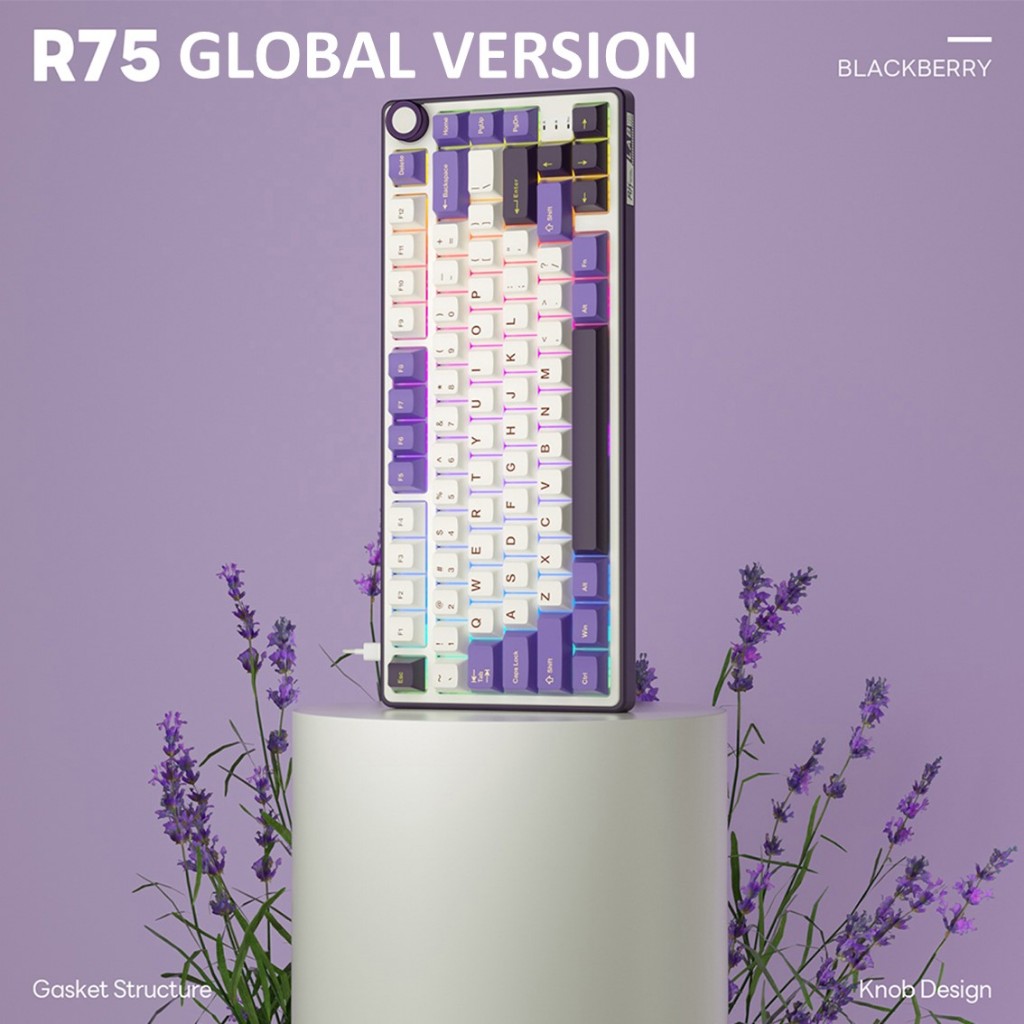 Jual Royal Kludge RK R75 QMK/VIA RGB Knob Gasket Structure 75% ...