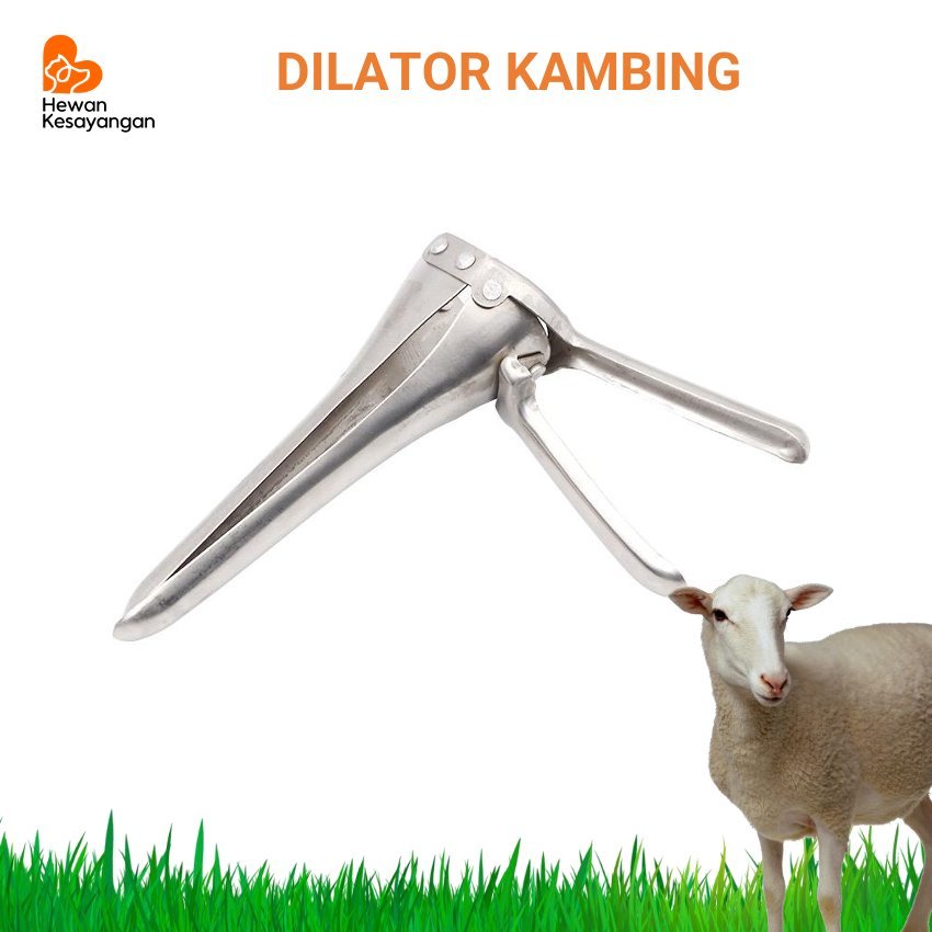 Jual Alat Inseminasi Buatan Spekulum Dilator Hewan Ternak Spekulum Domba Kambing dll | Shopee ...
