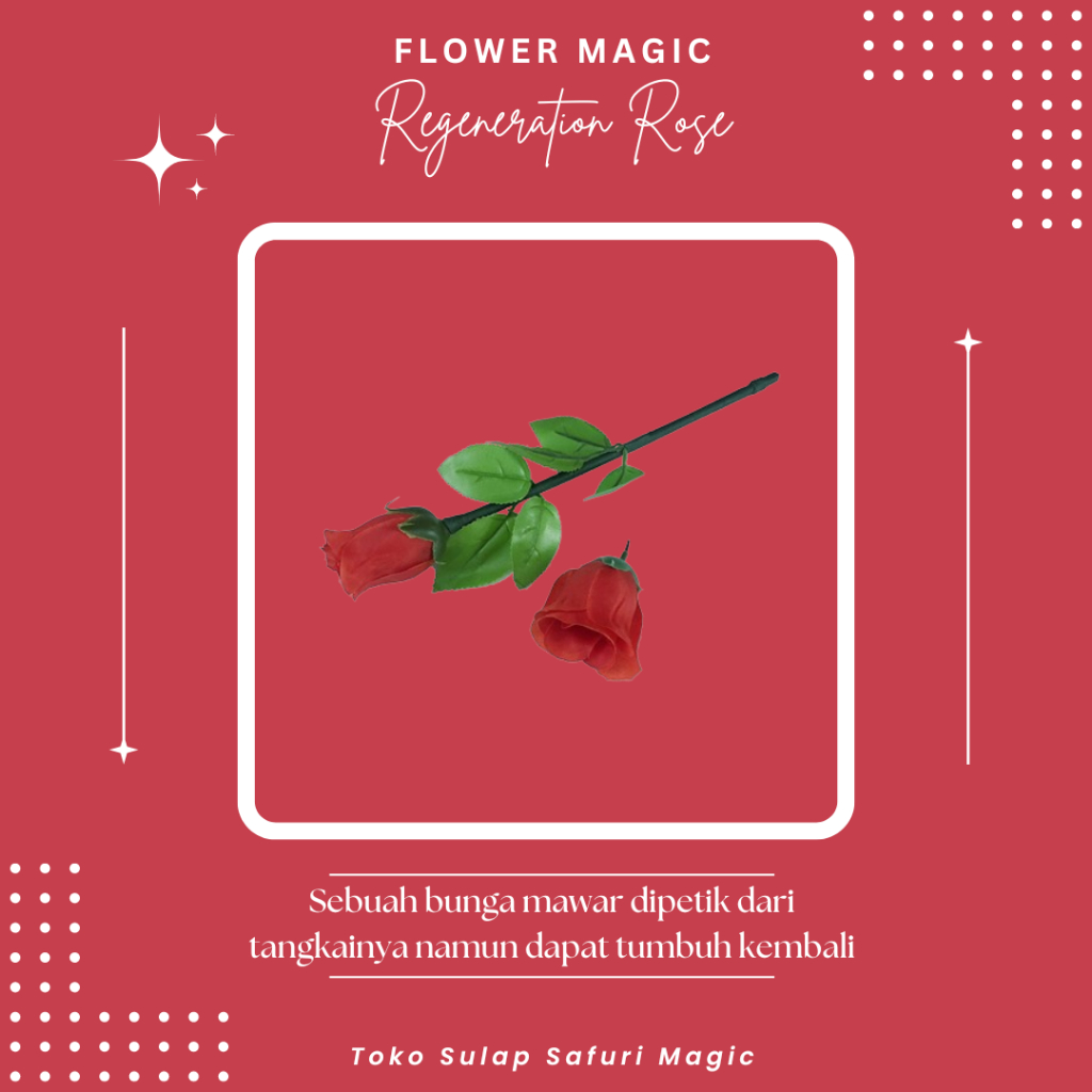 Jual Alat Sulap Regeneration Rose - Sulap Bunga - Flower Magic - Sulap ...