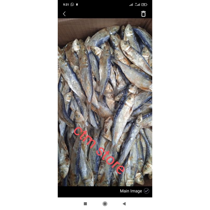 Jual ikan asin tanjan/tembang 500g | Shopee Indonesia