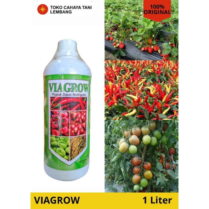 Jual viagrow 1 liter pupuk cair multiguna untuk mempercepat pertumbuhan ...