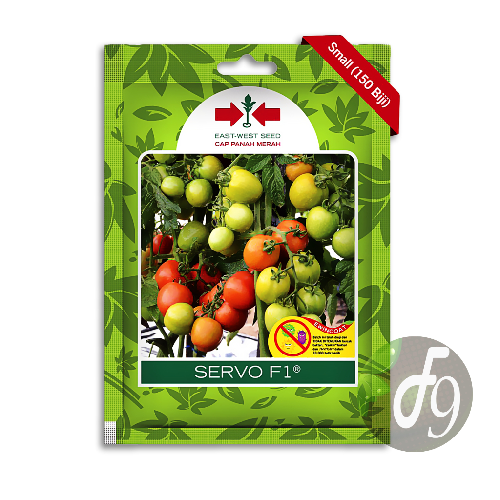 Jual benih tomat hibrida servo f1 panah merah 150 biji | Shopee Indonesia