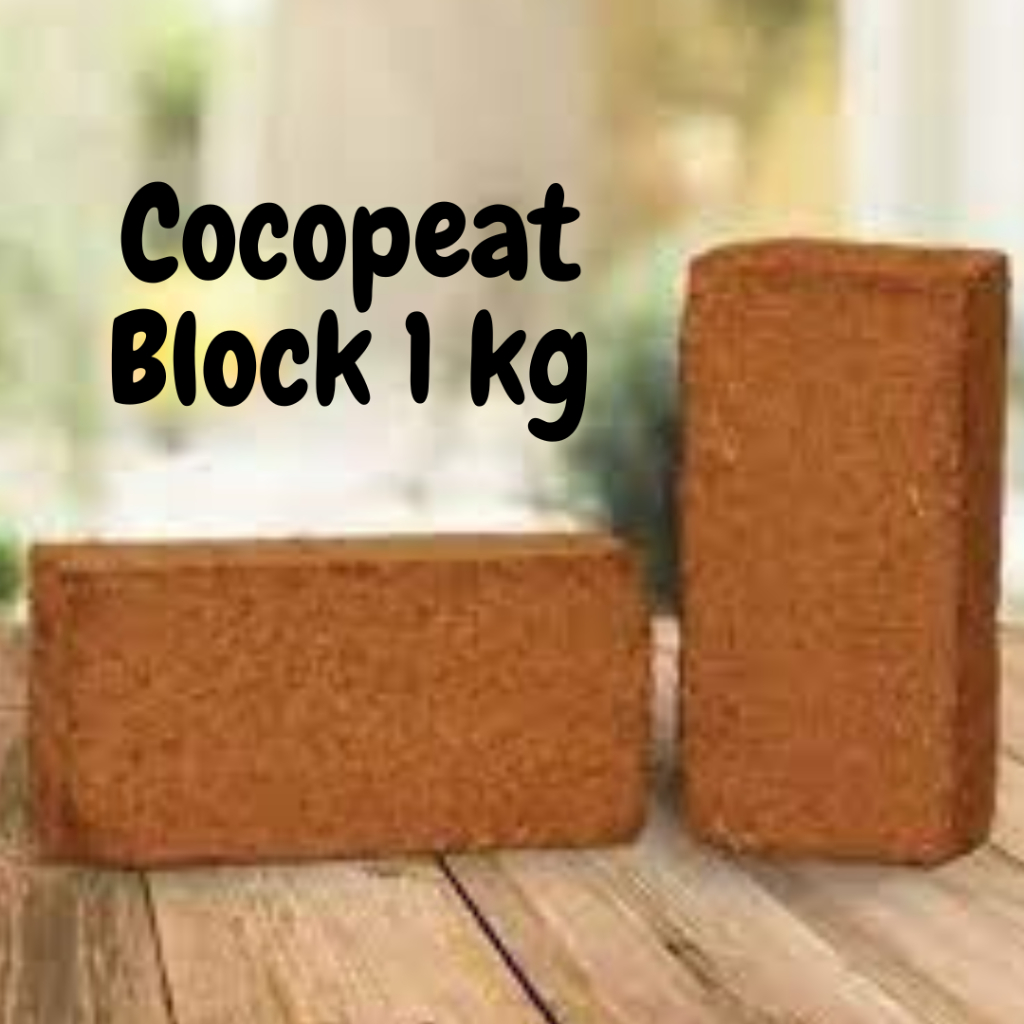 Jual Cocopeat Block 1 KG Coco Peat Cocopit Cocovit Media Tanam Bentuk ...
