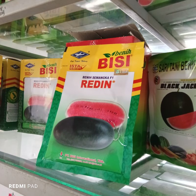 Jual Benih Bibit Semangka Redin F1 (Rasa Manis, Kulit Hijau tebal dan ...