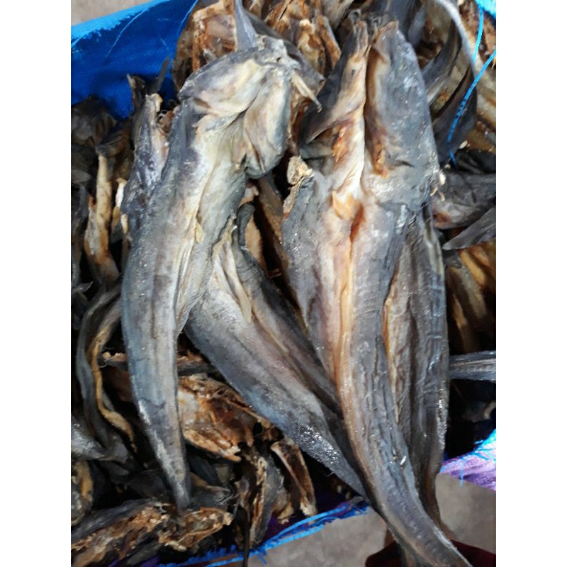 Jual Ikan asin sembilang lele laut 500 gram khas bangka | Shopee Indonesia