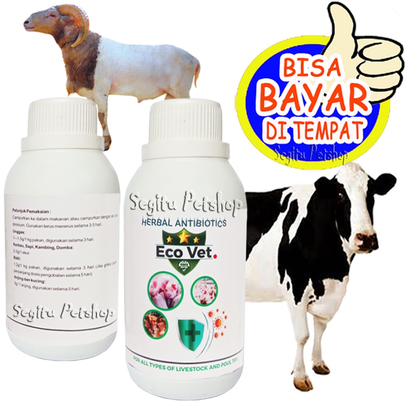 Jual Antibiotik Sapi Kambing Tambah Nafsu Makan Minum Sakit Dermatitis ...
