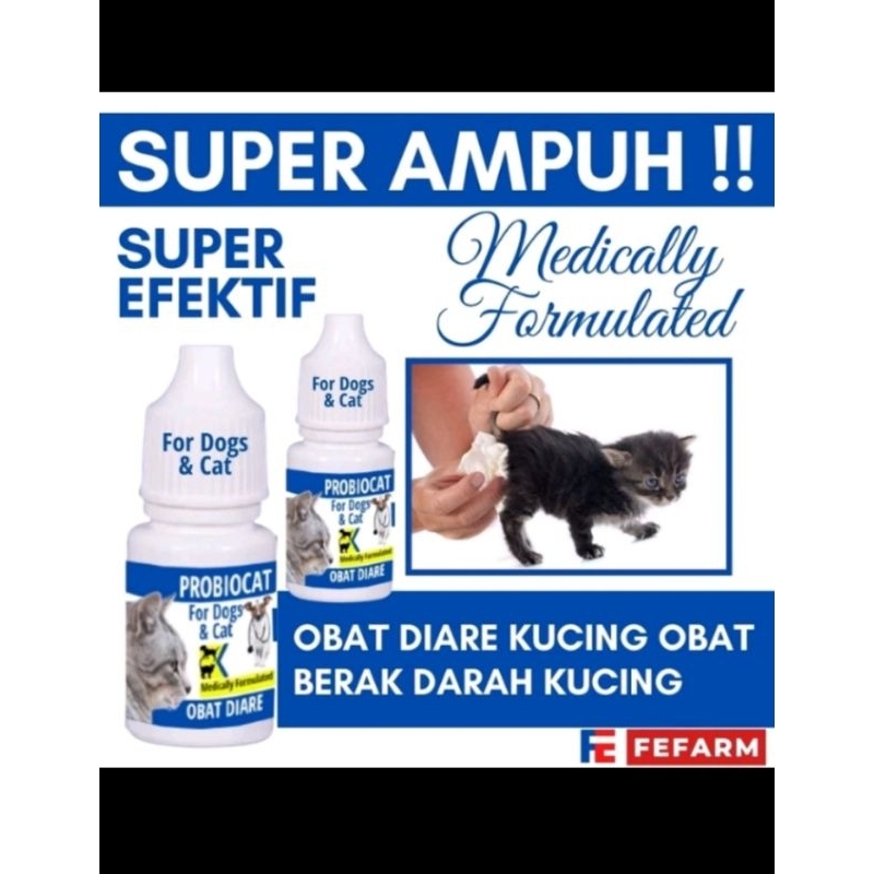 Jual Obat diare kucing Probiocat obat mencret kucing vitamin diare ...