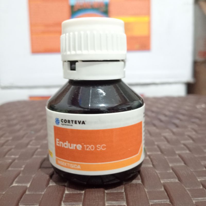 Jual Insektisida Endure 120SC Kemasan 50gr | Shopee Indonesia